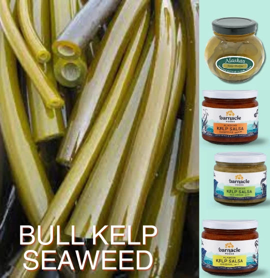 Kelp Products – Alaskan Snacks
